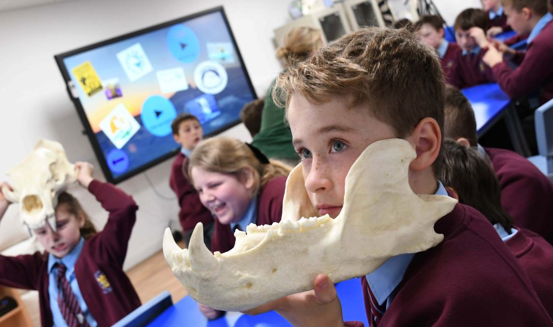 Yorkshire Wildlife Park bear necessities education programme | BIAZA